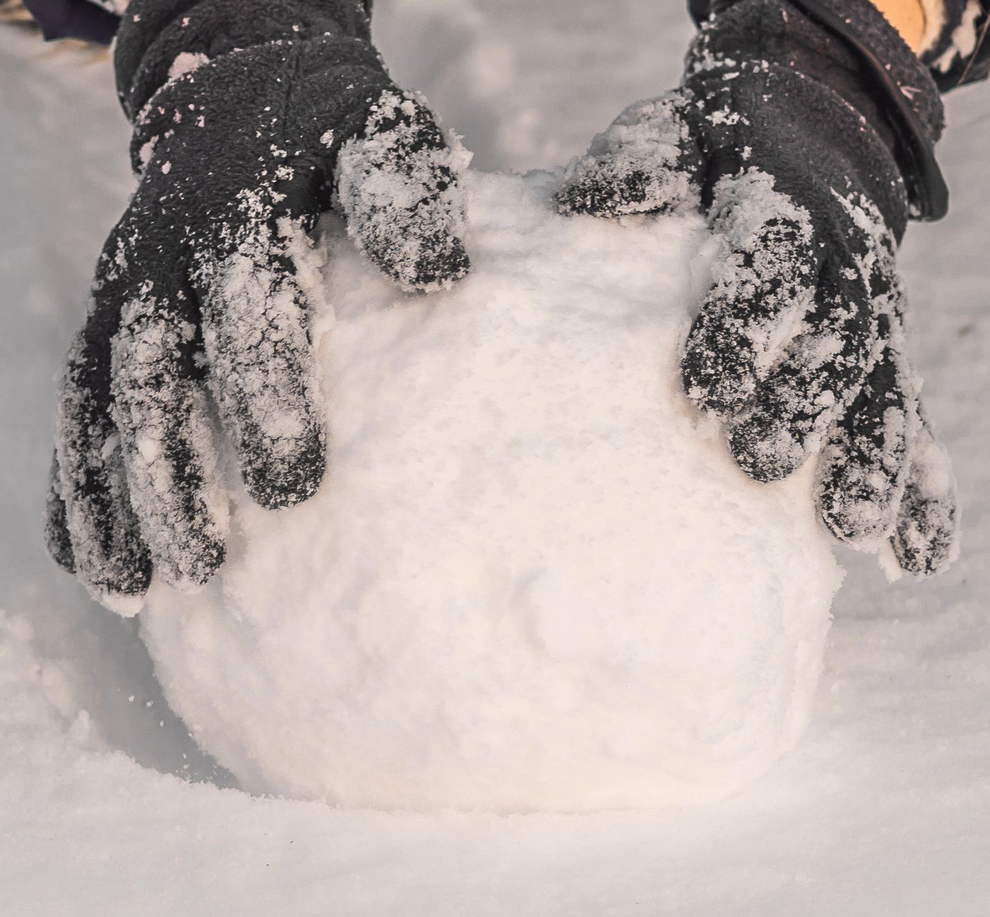 The Snowball | Notes From The Winepress