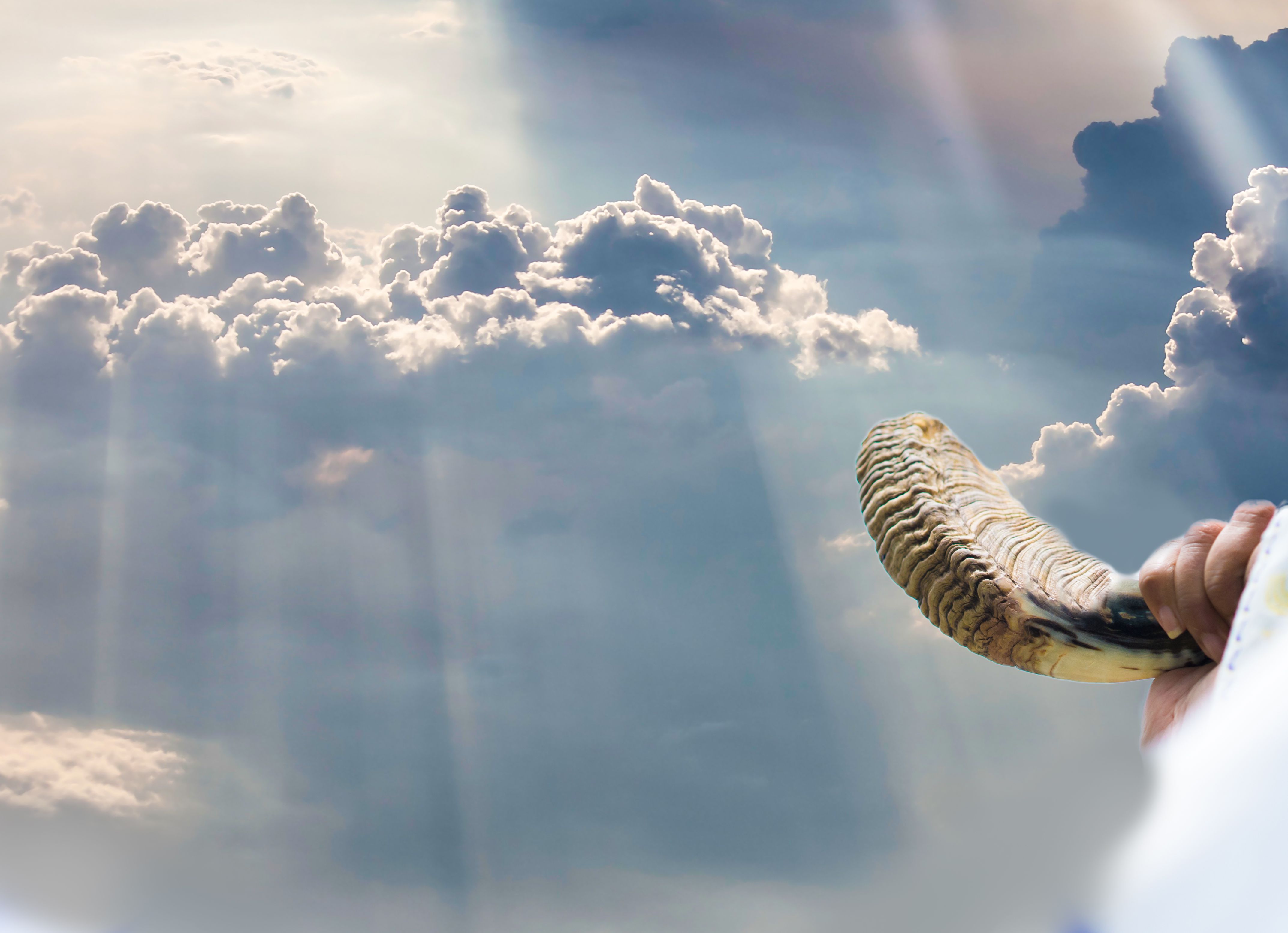 Blowing the Trumpet | Notes From The Winepress